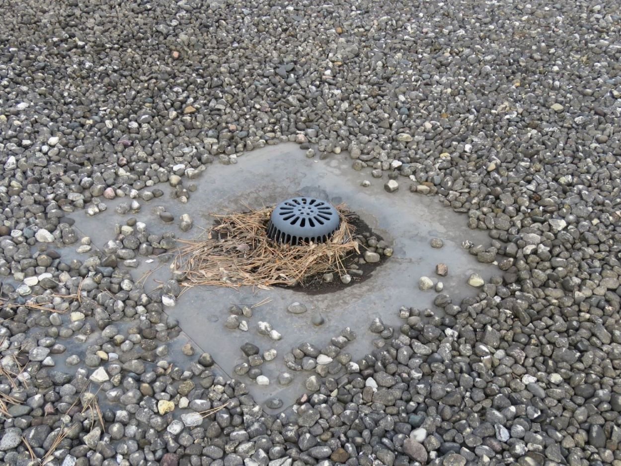 Roof Drainage Systems • How Roof Drainage Works